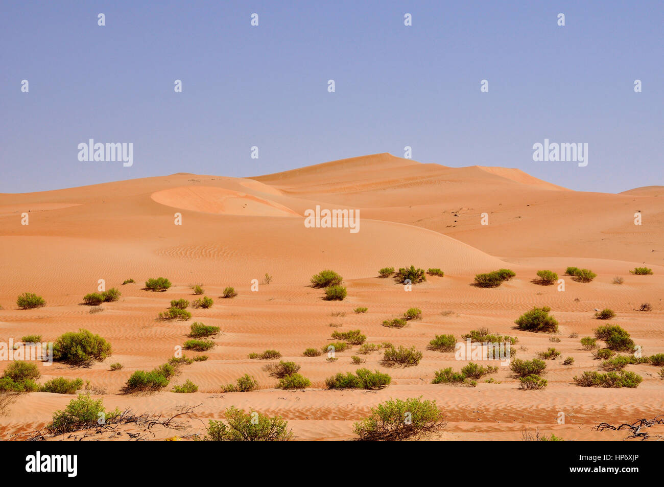 Wind-formed patterns in this collection of sand in the Arabian Desert ...