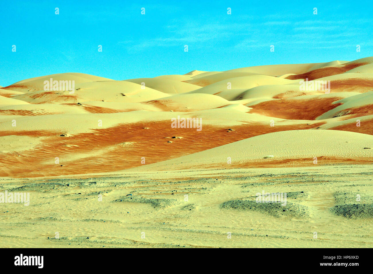 Wind-formed patterns in this collection of sand in the Arabian Desert ...