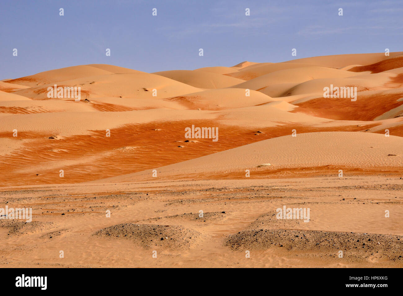 Arabian desert wind