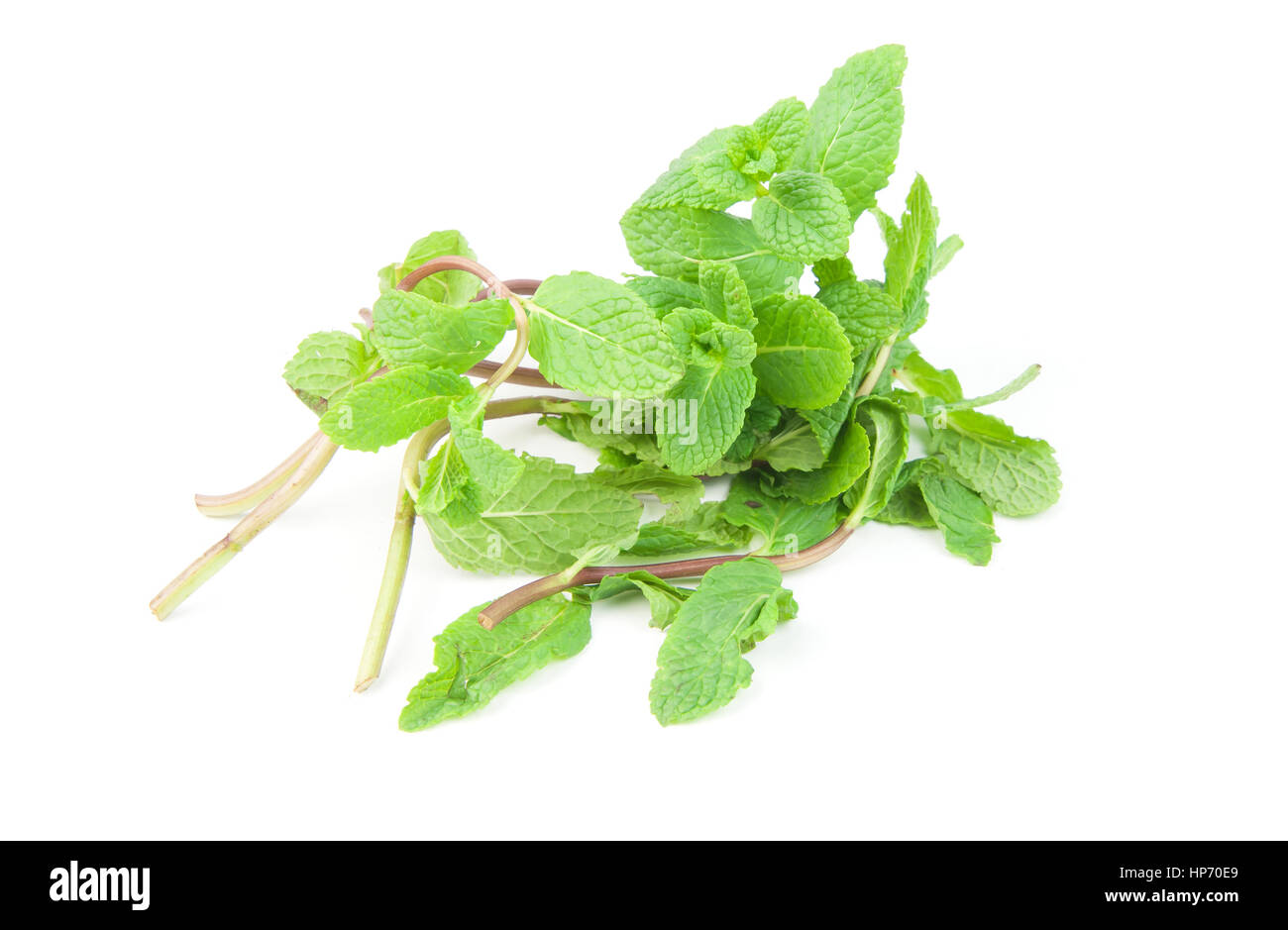 Fresh green mint isolated on white Stock Photo - Alamy