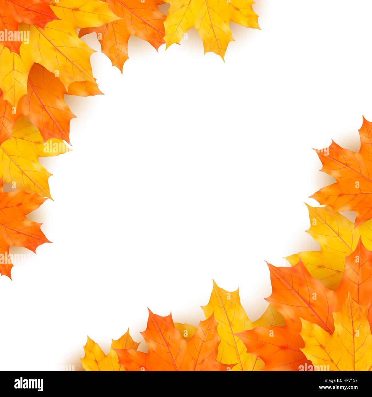 Autumn vector background with realistic maples leaves isolated on white ...