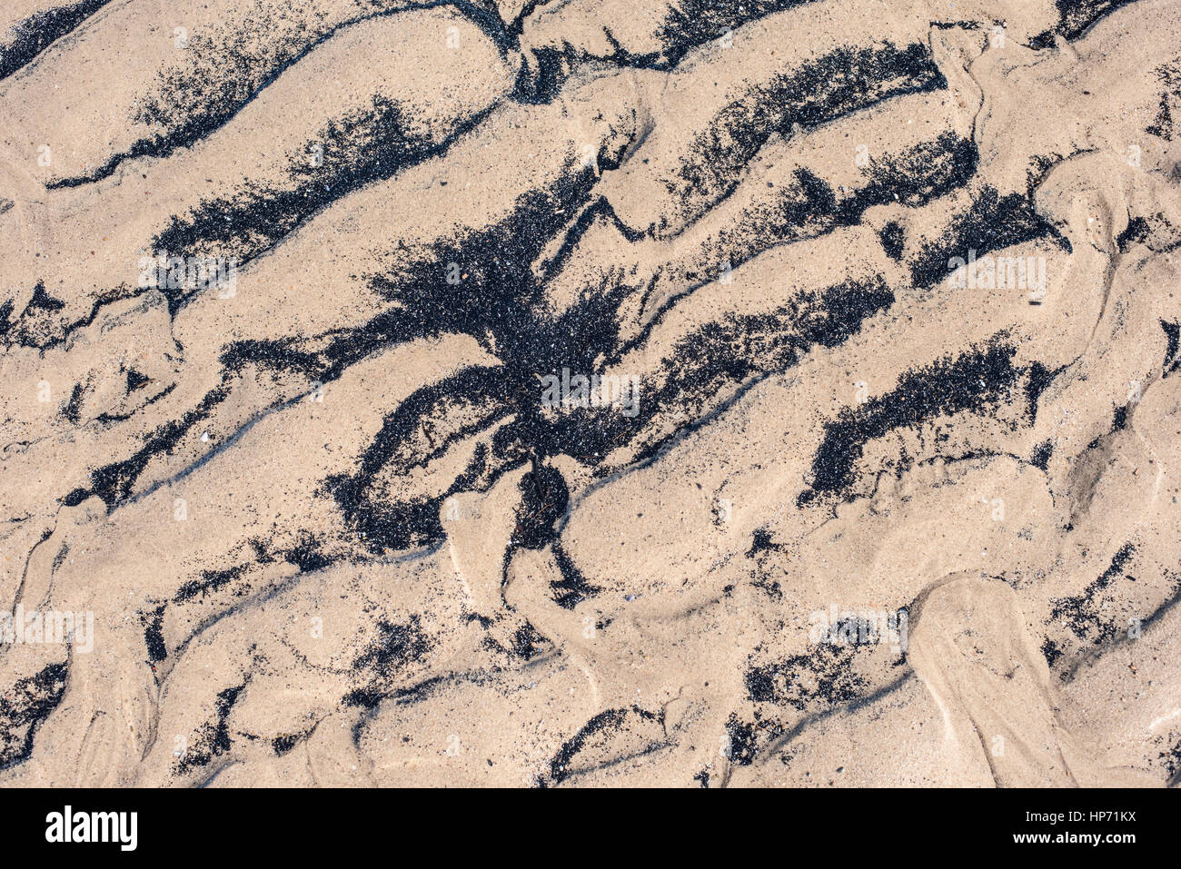 Coal on beach hi-res stock photography and images - Alamy