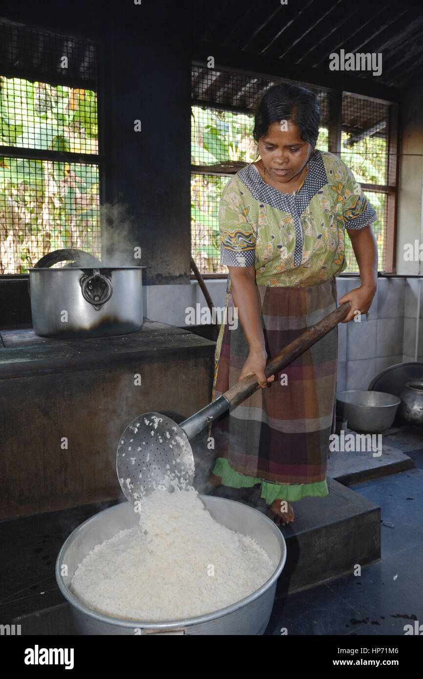 Mumbai, India - October 28, 2015 - Woman cooking rice in a traditional ...