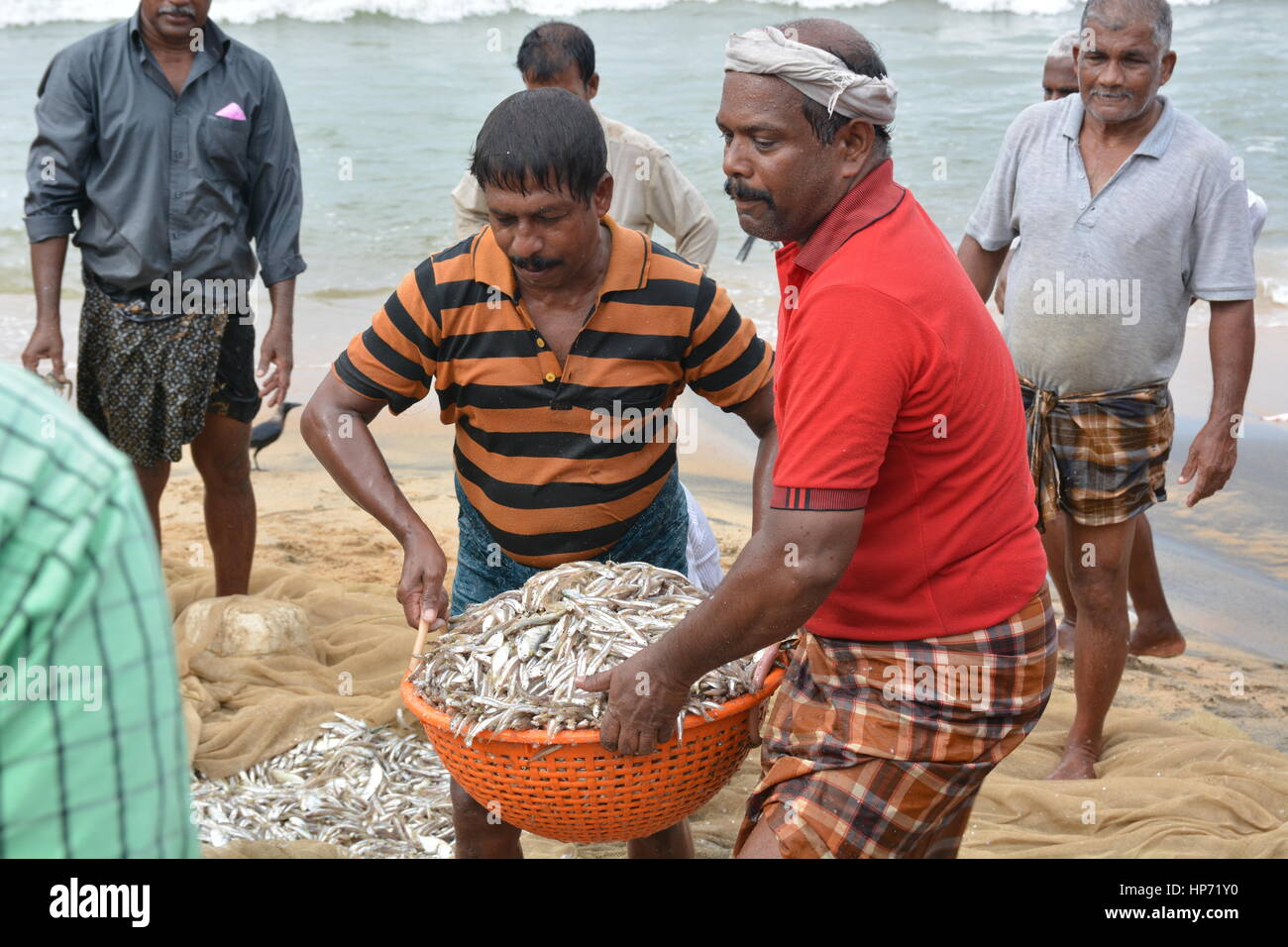 Goa, India - November 5, 2015 - Fishermen catching fishes the ...
