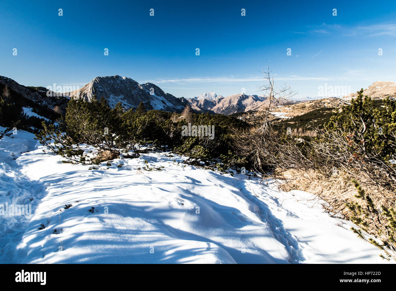 dry winter in the italian alps Stock Photo - Alamy