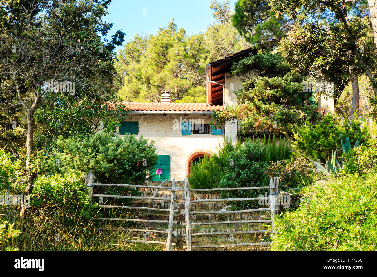An old house in the forest Stock Photo - Alamy