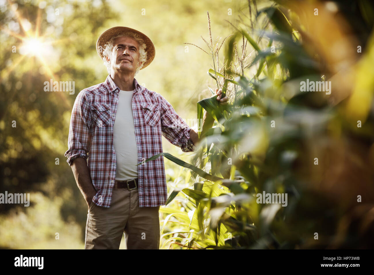 Agronomy production hi-res stock photography and images - Alamy