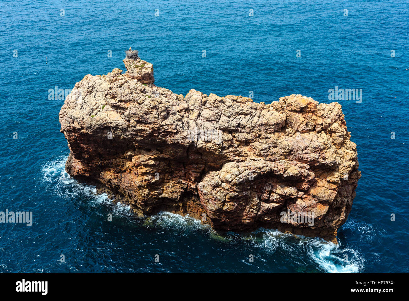 Rock near shore with nest of storks on sea water background Stock Photo ...