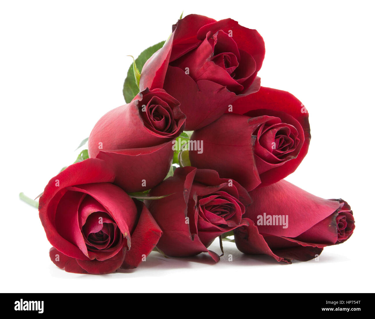 red roses bouquet in white background Stock Photo - Alamy