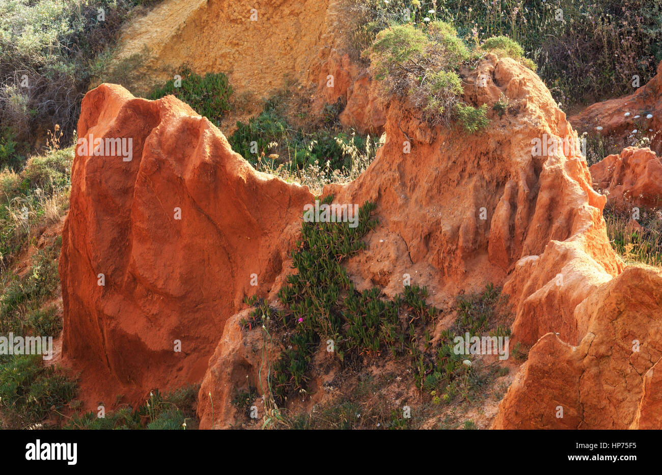 Summer evening Atlantic ocean shore with red clayey rock formations ...