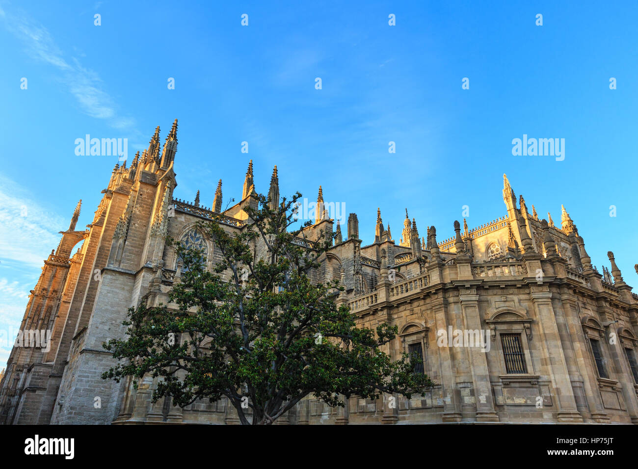 Seville Cathedral (or Cathedral of Saint Mary of the See) top view on ...