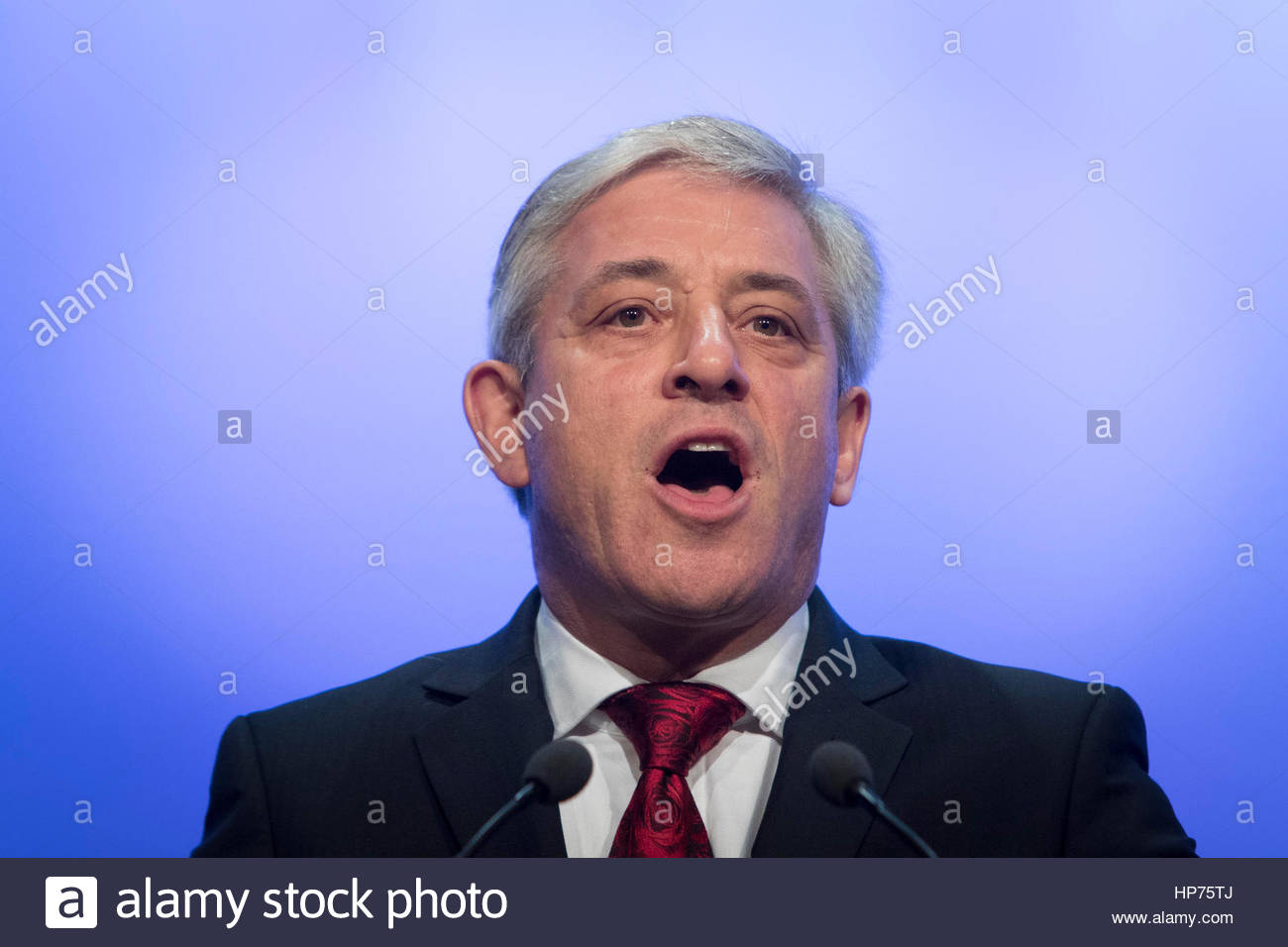 Speaker Of The House Of Commons John Bercow Stock Photos & Speaker Of ...