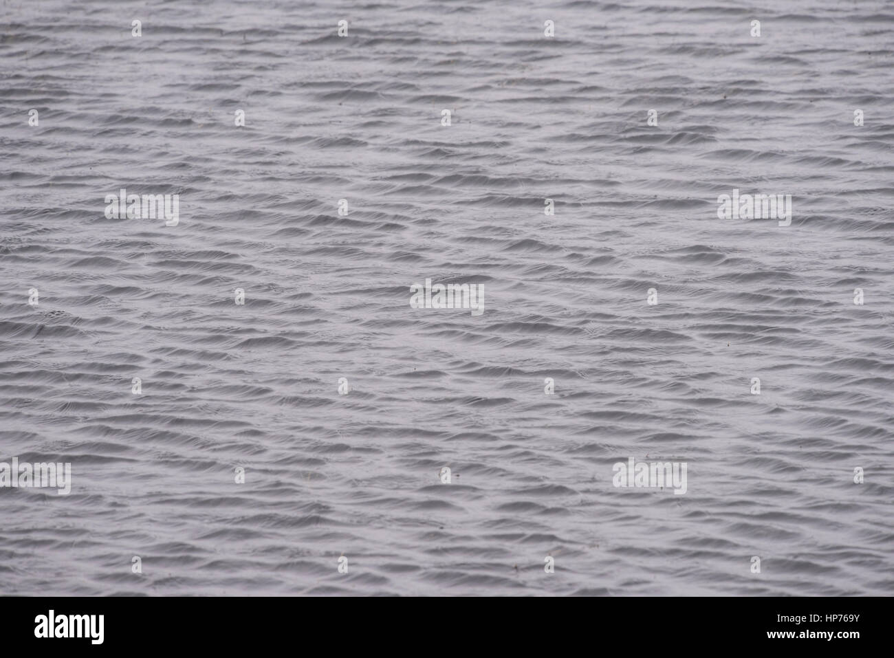 Wind ripples water hi-res stock photography and images - Alamy