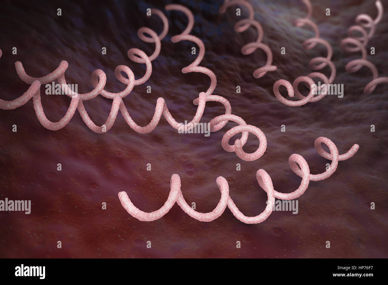 Bacterium Stock Photos & Bacterium Stock Images - Alamy