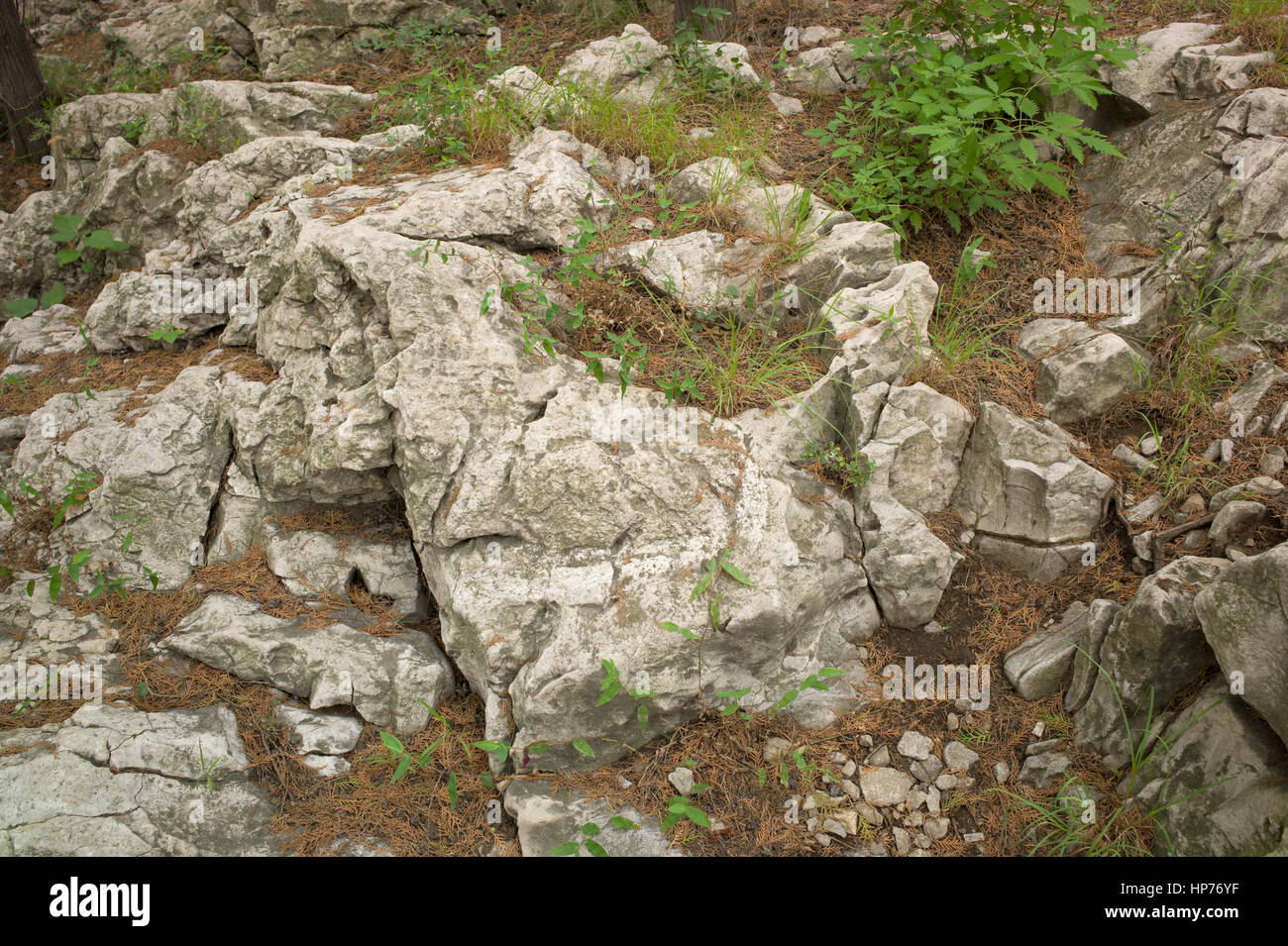 Oolitic limestone hi-res stock photography and images - Alamy