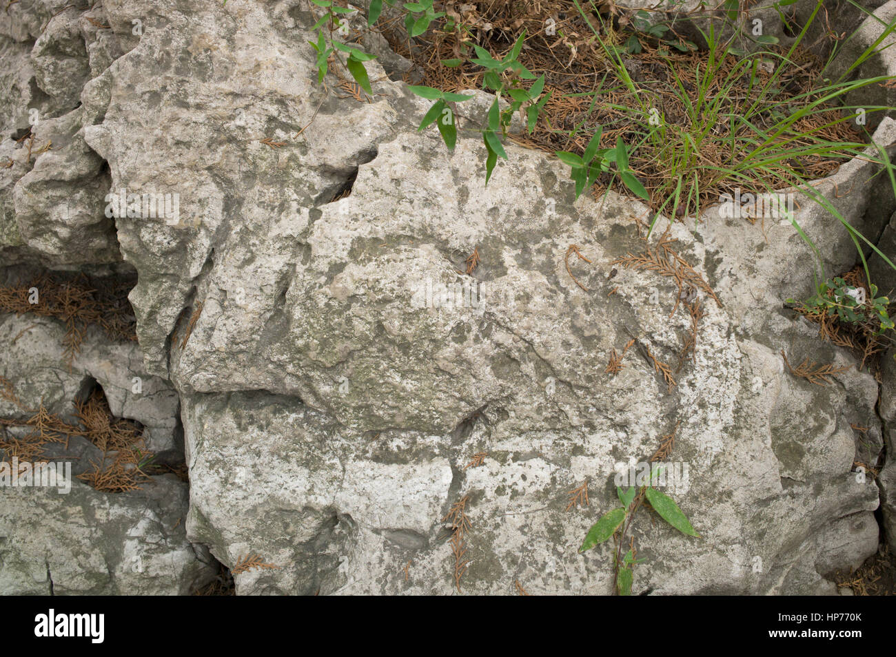 Oolitic limestone hi-res stock photography and images - Alamy
