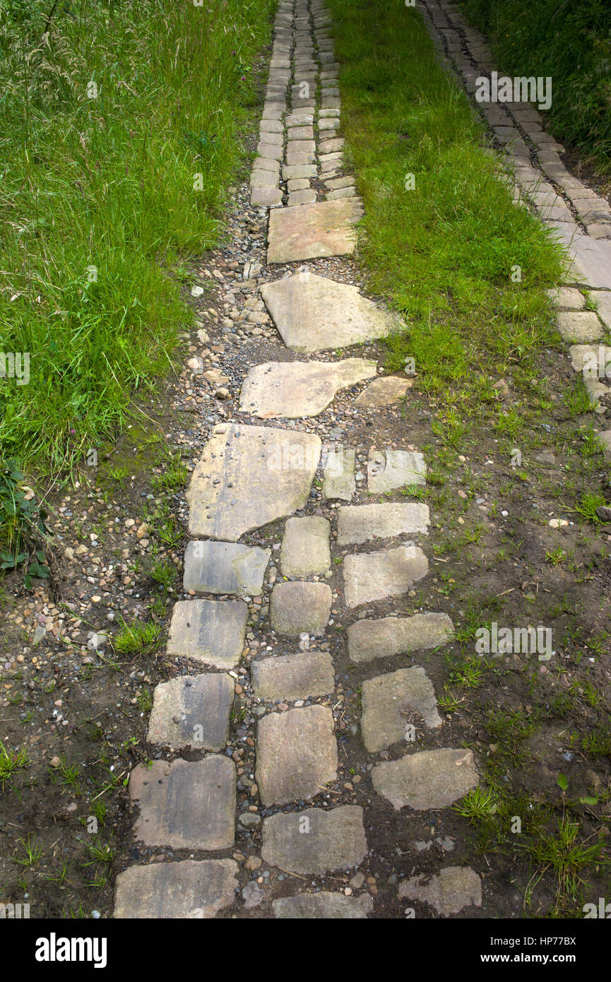 Stone blocks used as cobbles in trackway to prevent erosion of surface ...