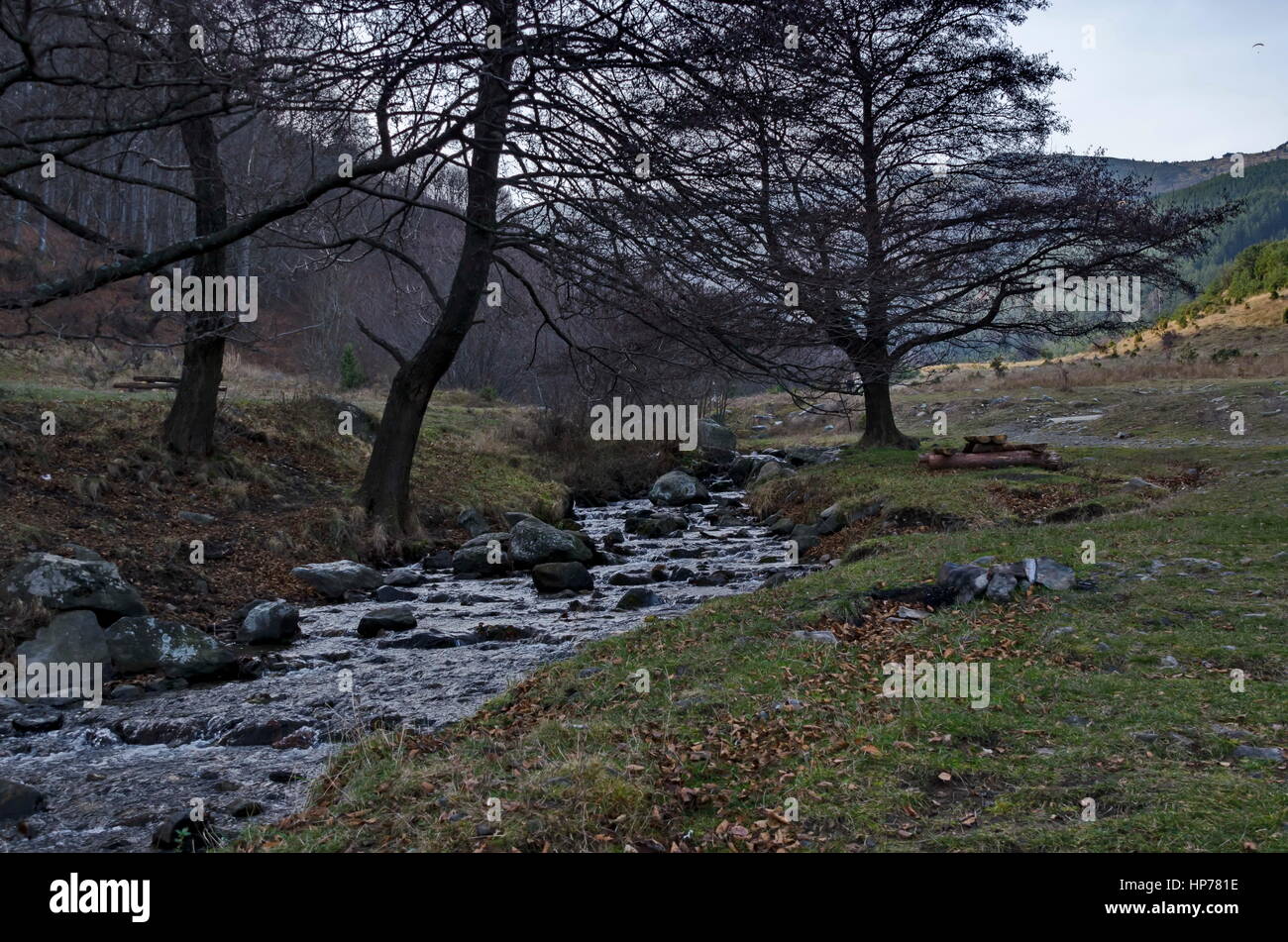 Beautiful motion blurred water stream landscape in the winter forest ...