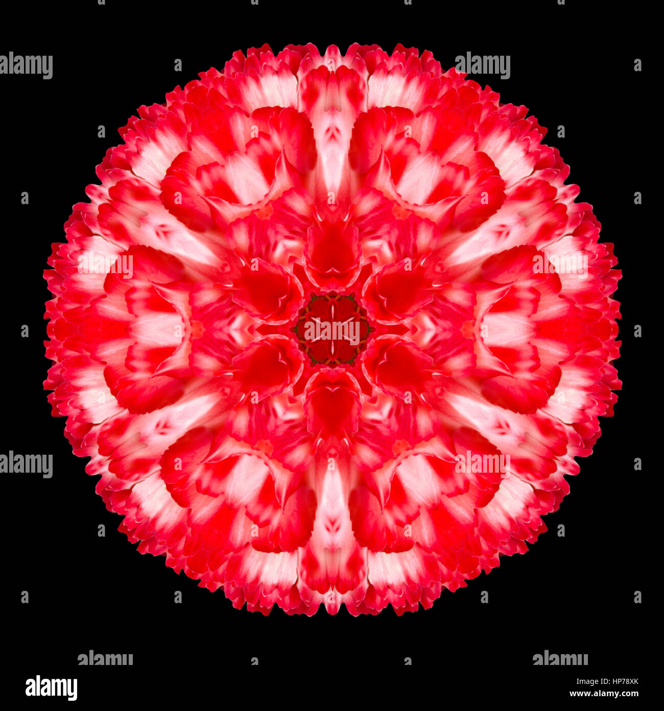 Mandala Flower isolated on Black background Stock Photo - Alamy