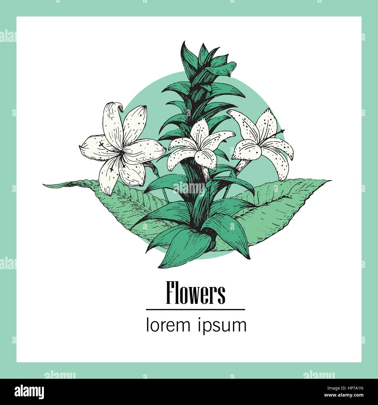 Hand drawn vector botany illustration. Vintage logo template. Exotic ...