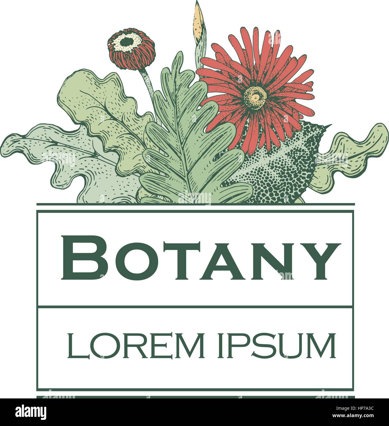 Hand drawn vector botany illustration. Vintage garden plants. Logo ...