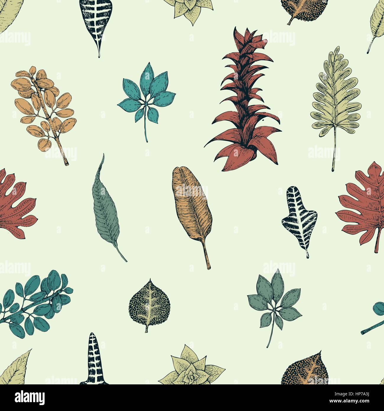 Hand drawn botany vector seamless pattern. Vintage background with ...