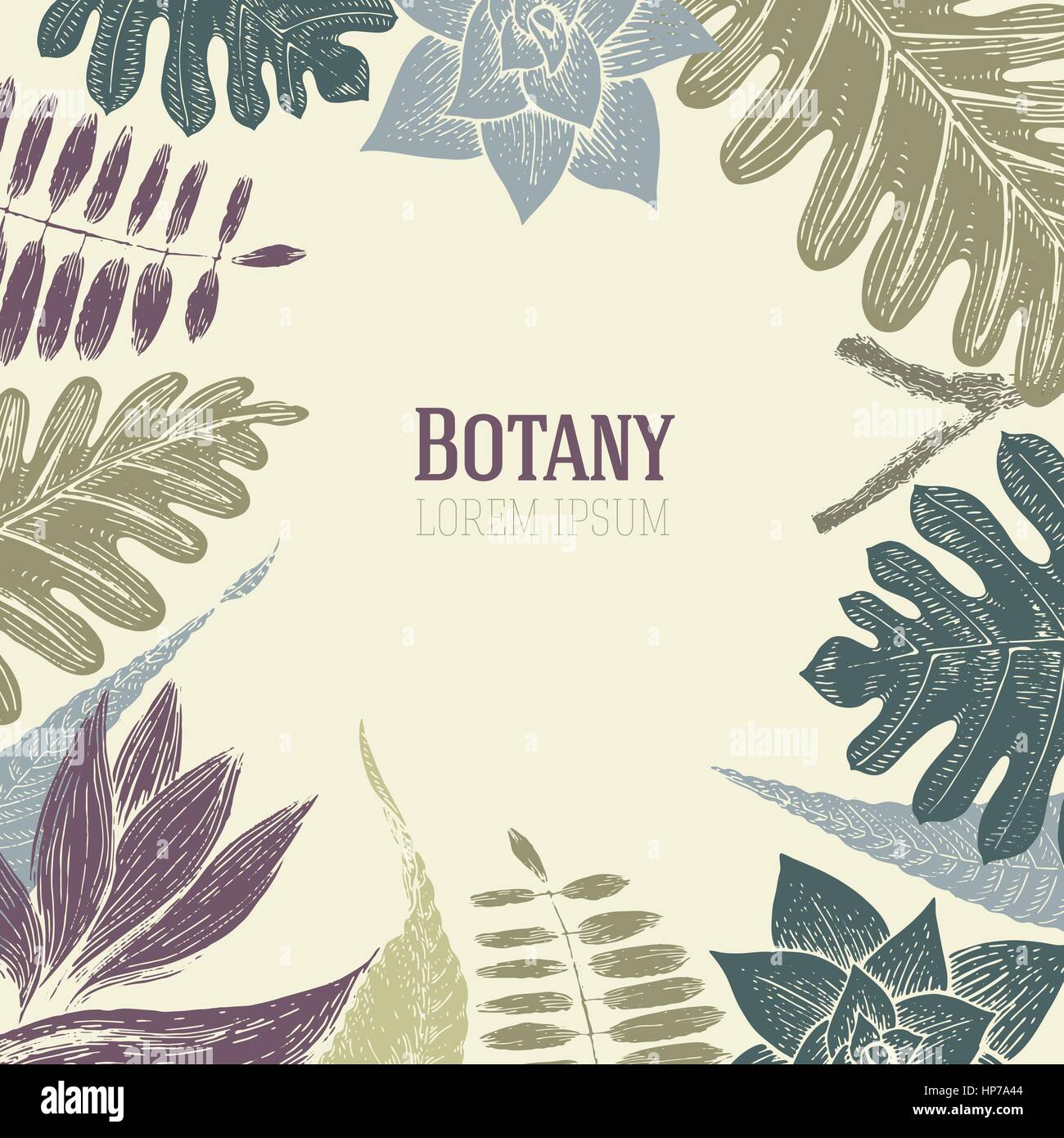 Hand drawn botany vector seamless pattern. Vintage background with ...