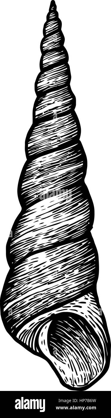 Tower, shell illustration, drawing, engraving, ink, realistic, vector ...