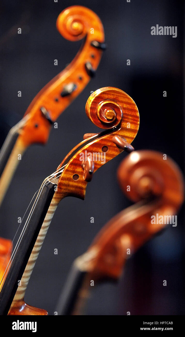 Violin head detail with out of focus foreground and background fiddle ...