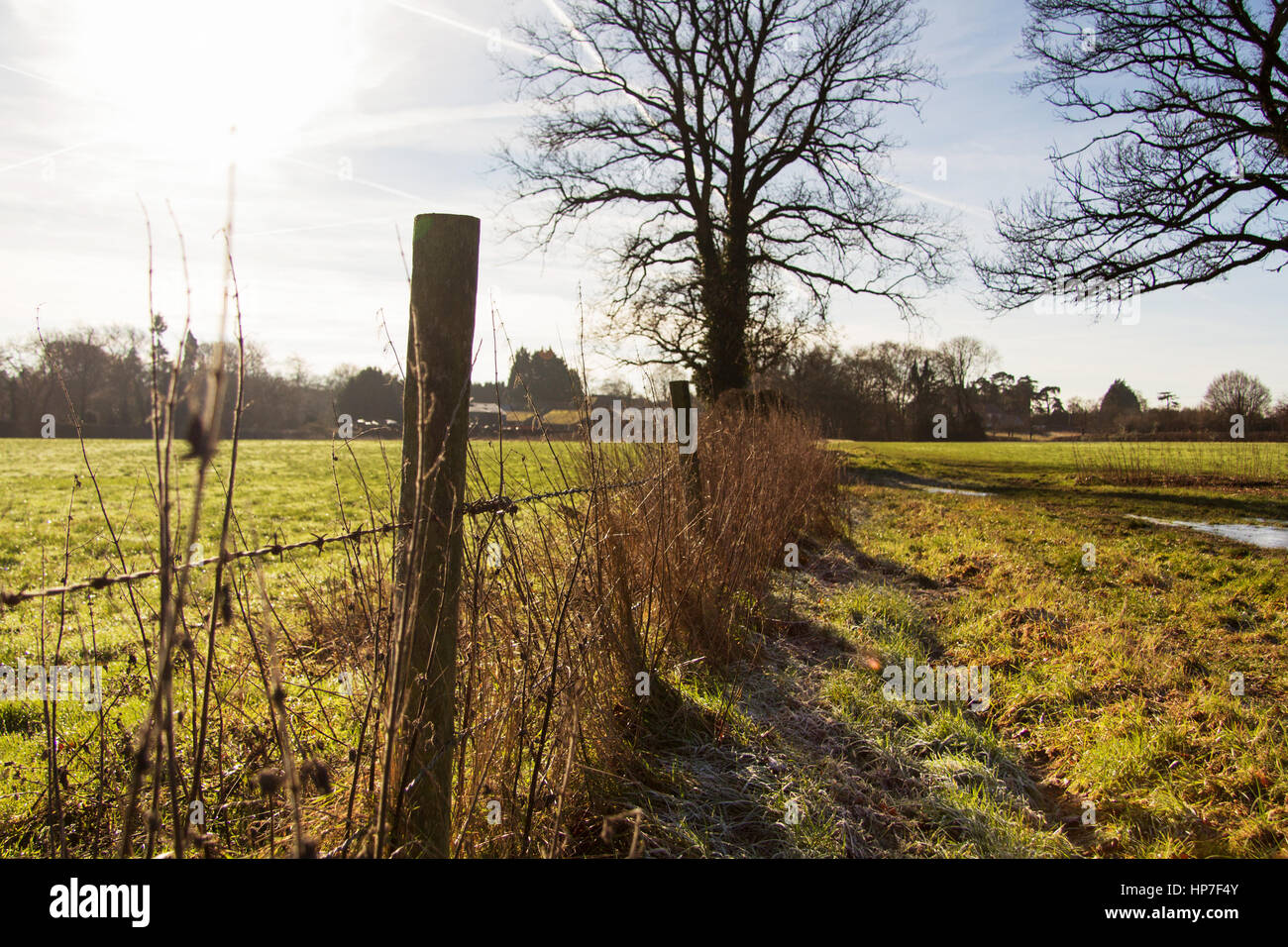 Empty british countryside on a cold winters afternoon Stock Photo - Alamy