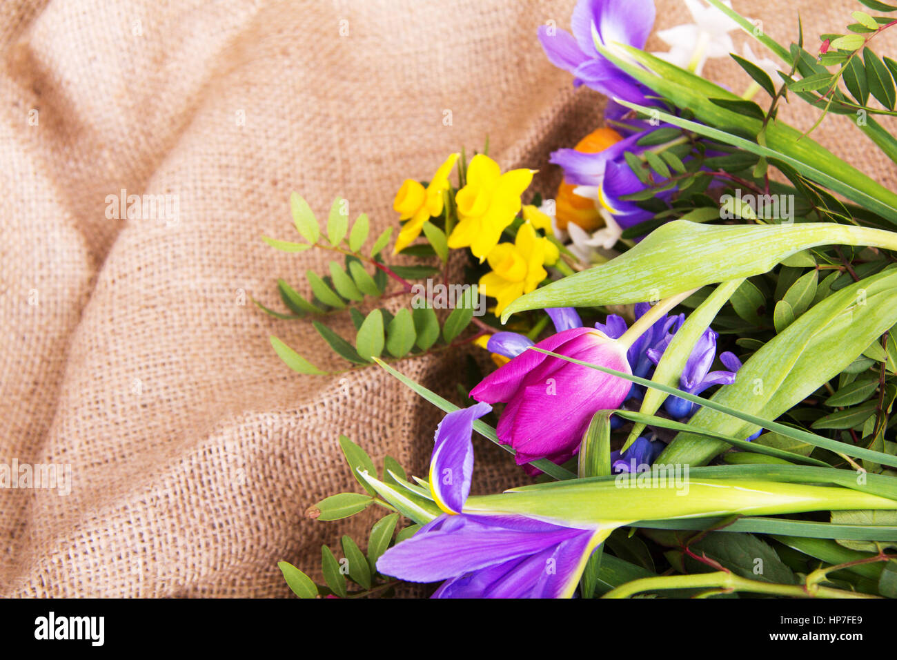Spring cut flower arrangement against a rustic background Stock Photo ...