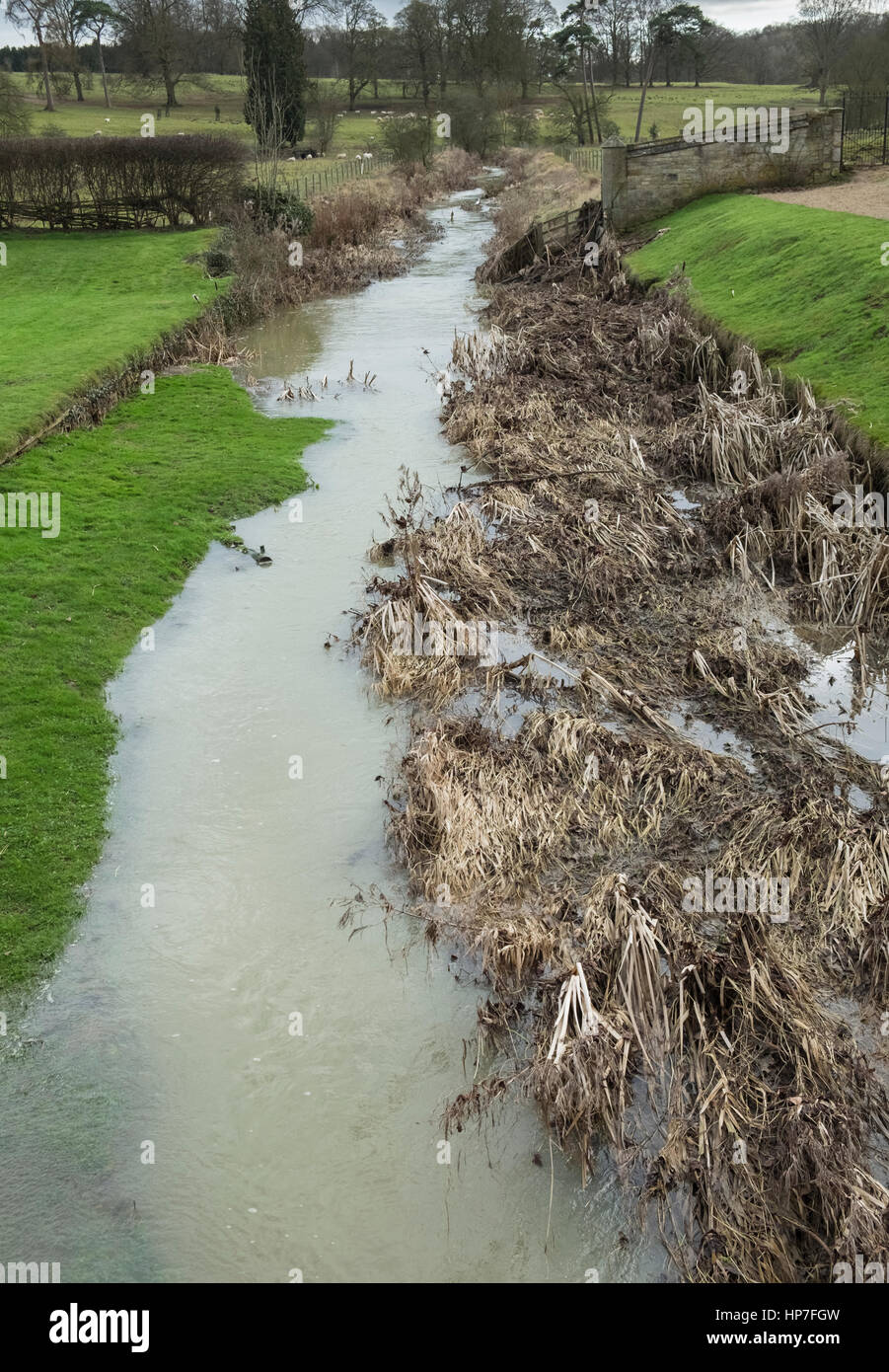 River Through Gardens High Resolution Stock Photography and Images - Alamy