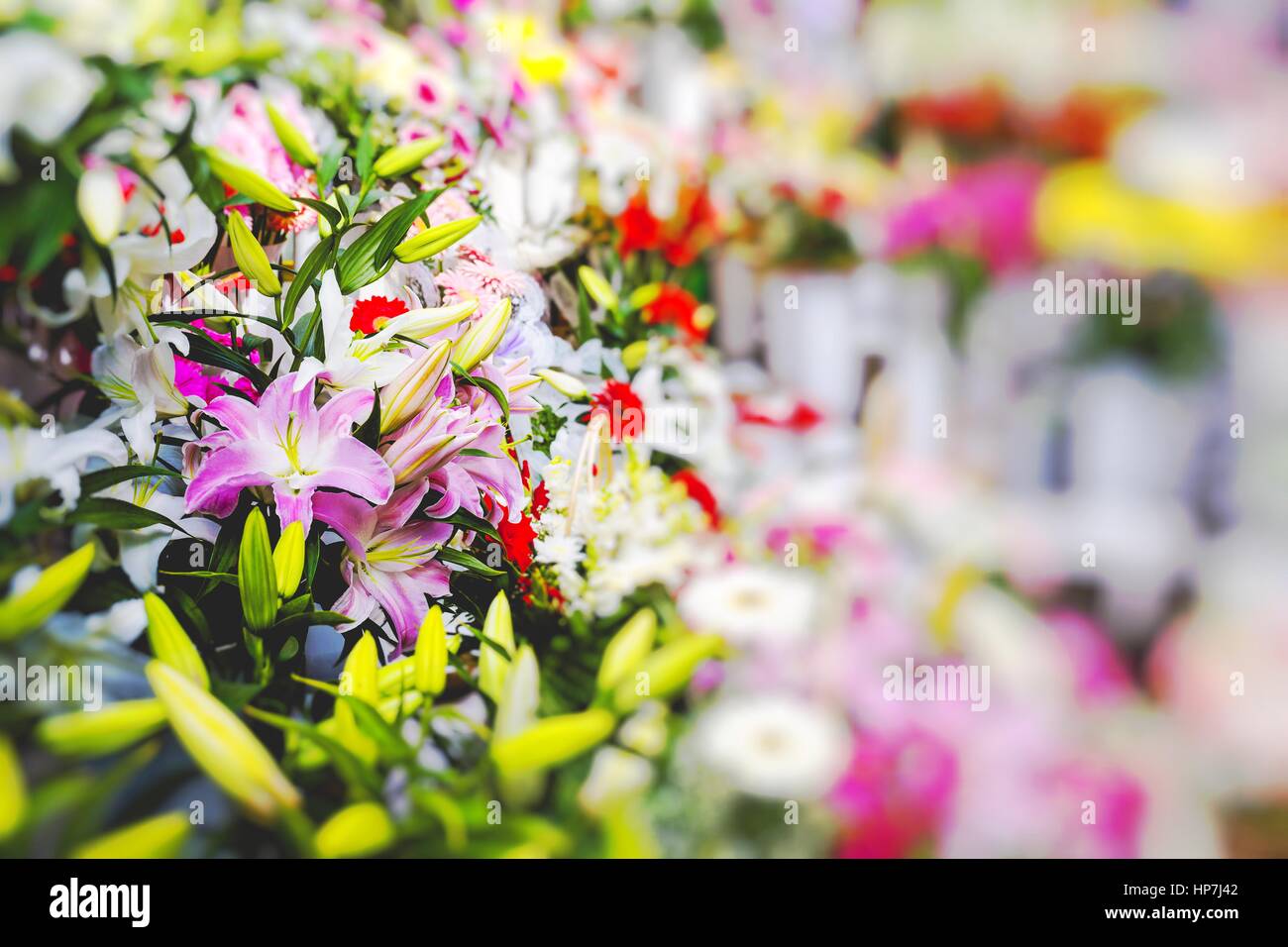Flower market in Riga, Latvia Stock Photo - Alamy