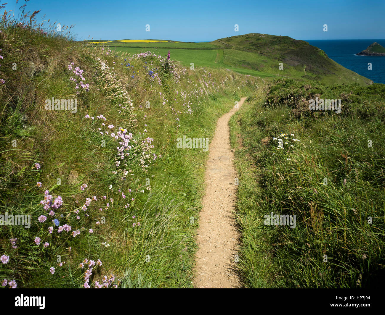 The South West Coast Path near the Rumps and Pentire Point, North ...
