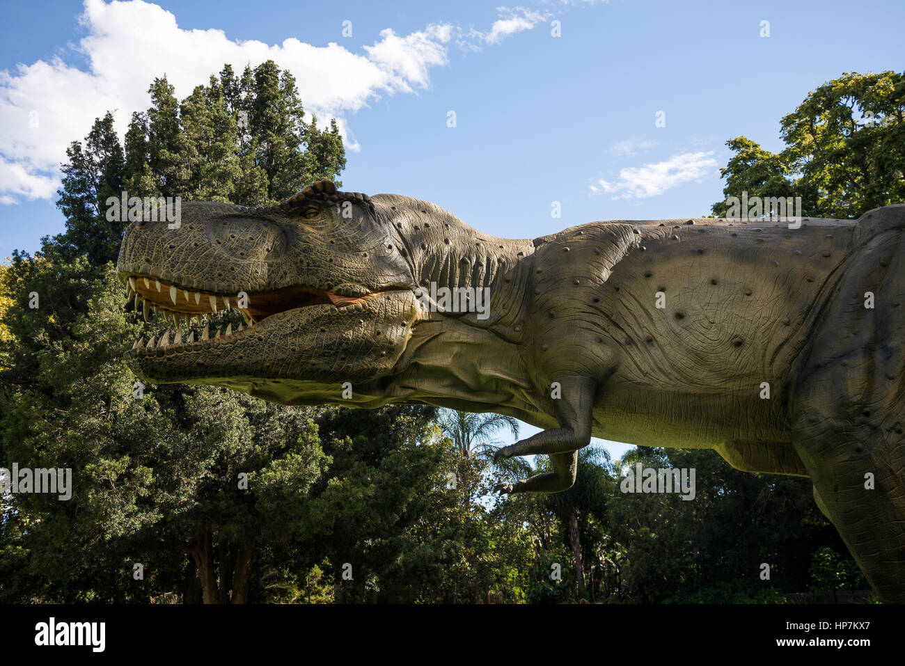 Tyrannosaurus Rex roaring in Perth Zoo as part of Zoorassic exhibition ...