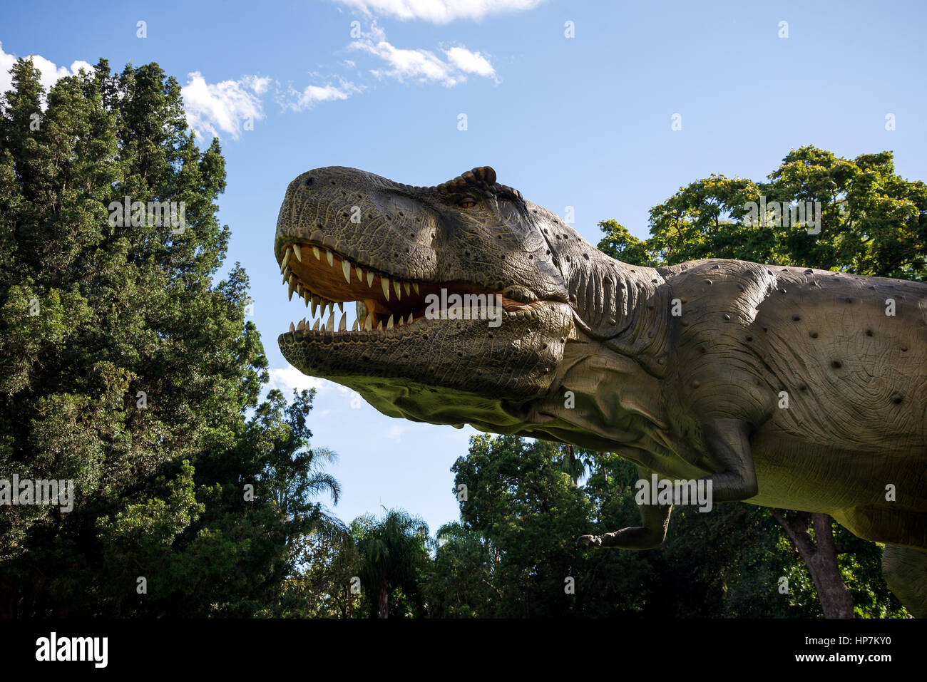 Tyrannosaurus Rex roaring in Perth Zoo as part of Zoorassic exhibition ...