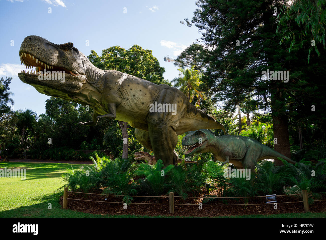 Dinosaur family tree hi-res stock photography and images - Alamy