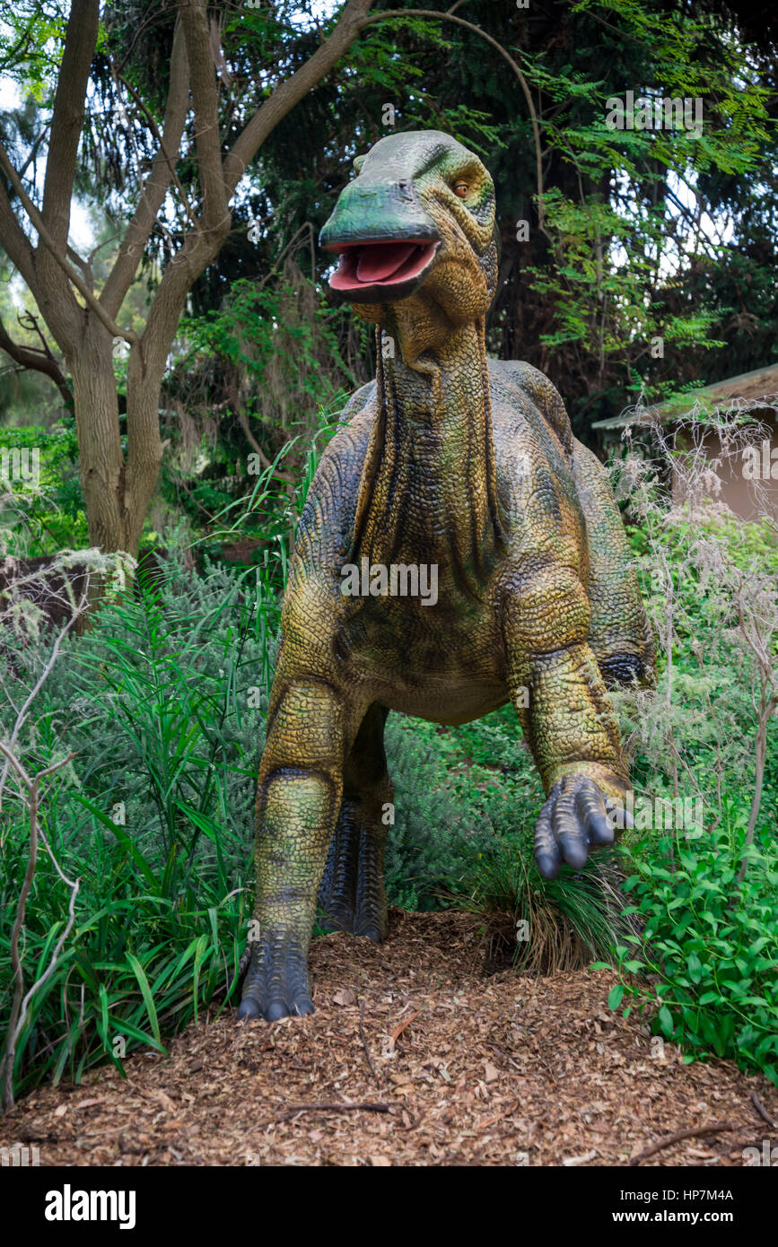 Standing Parasaurolophus display model in Perth Zoo as part of ...