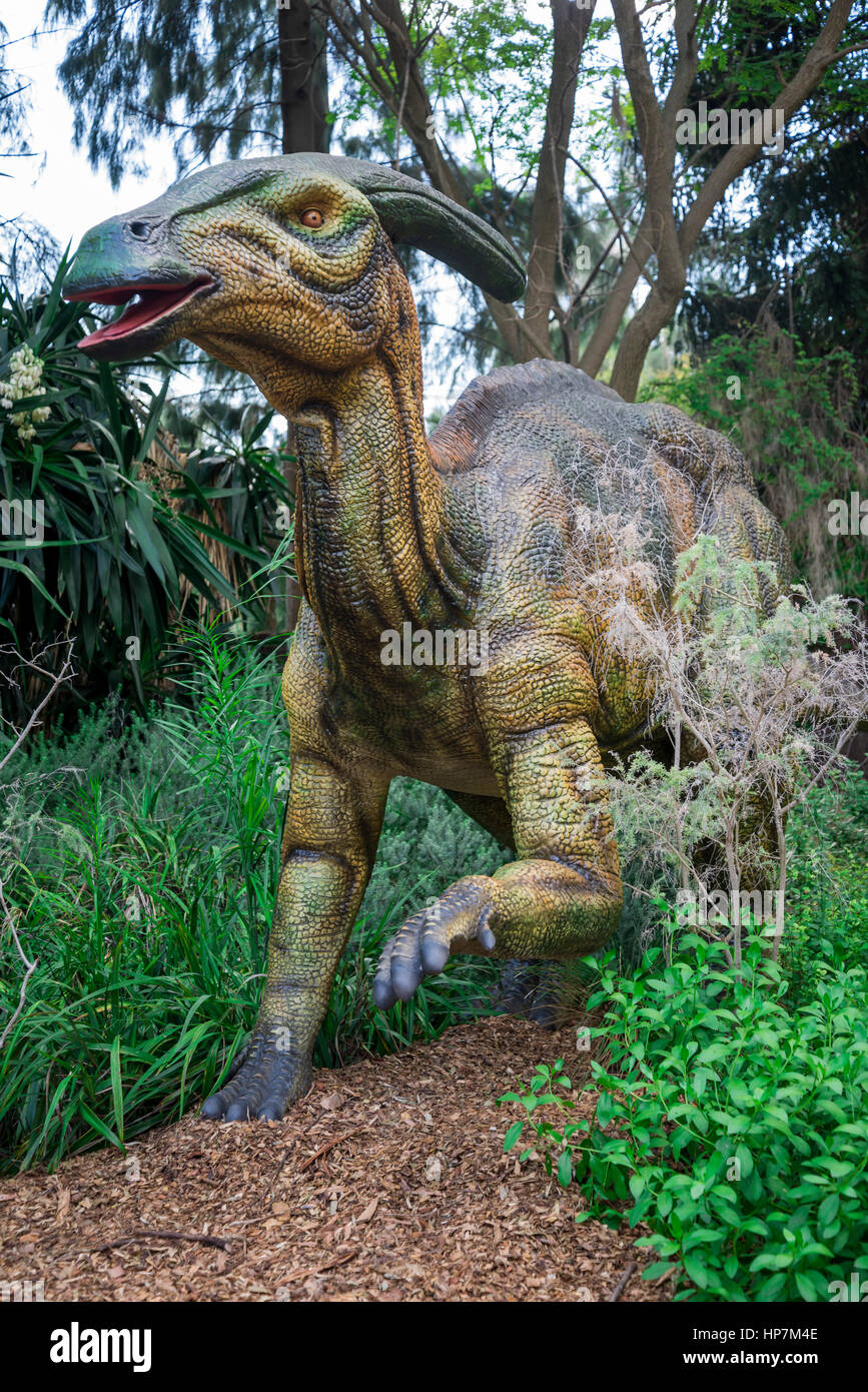 Parasaurolophus dinosaur model hi-res stock photography and images - Alamy