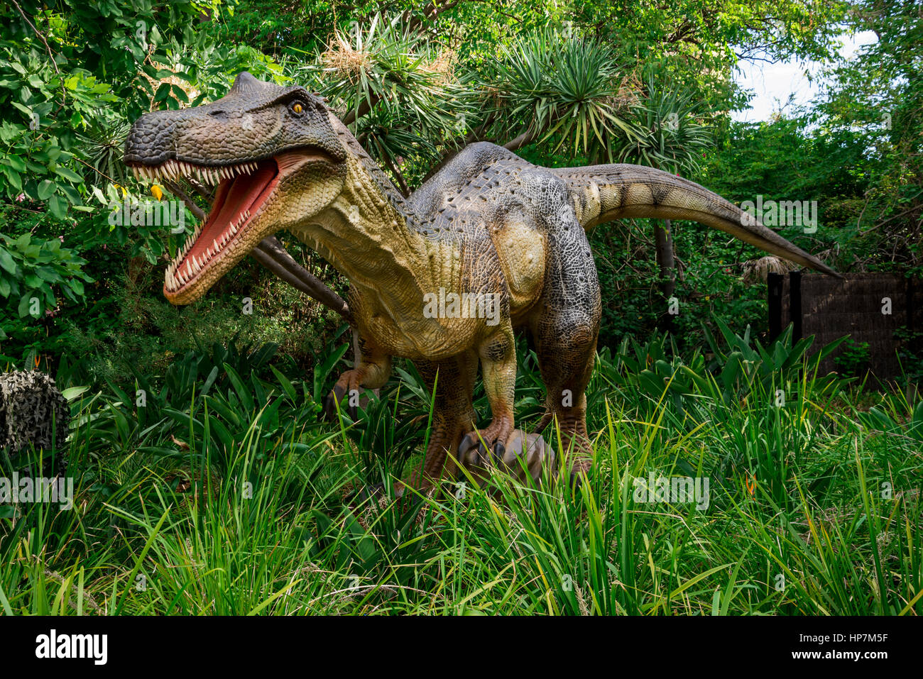 Baryonyx hi-res stock photography and images - Alamy