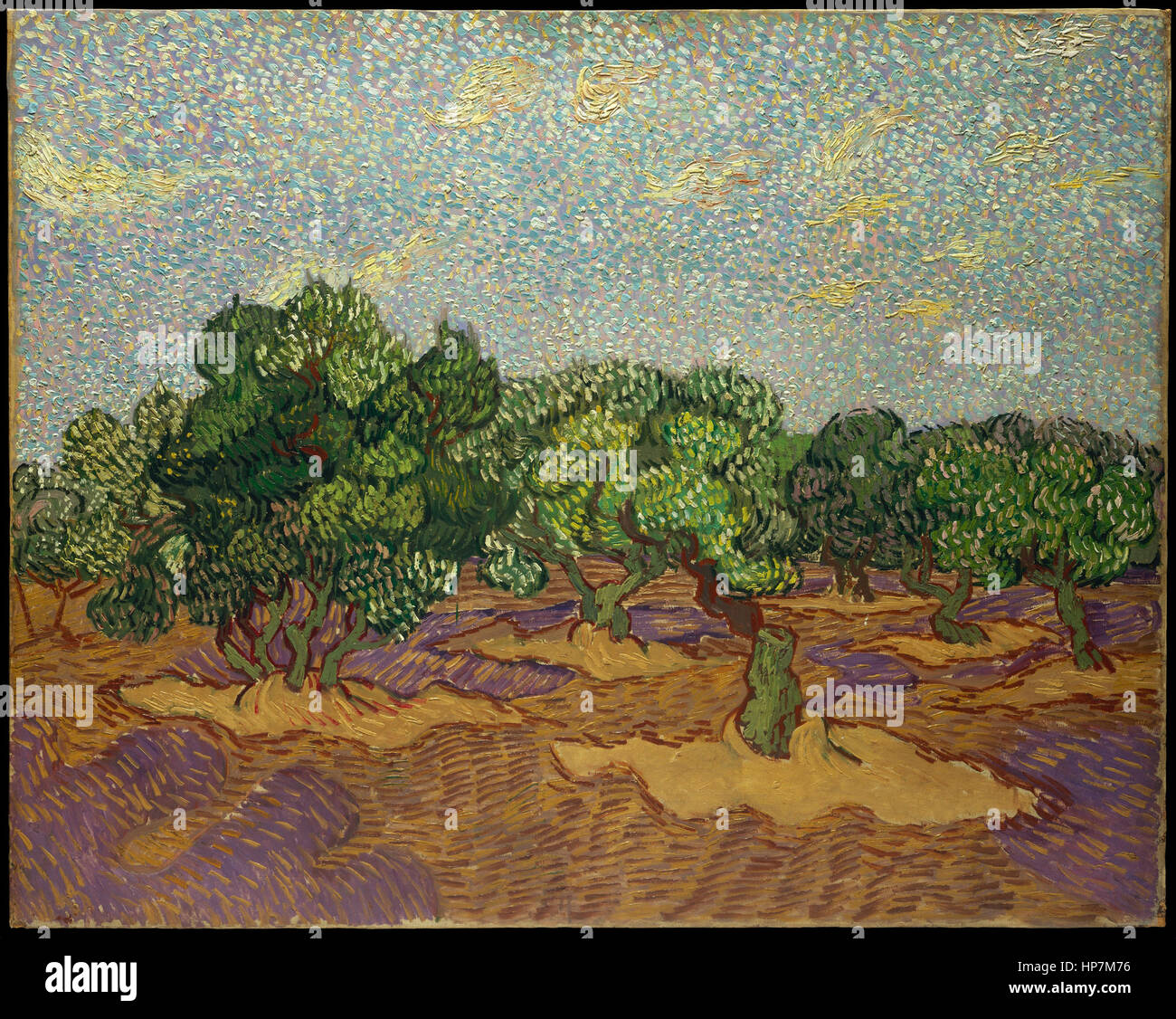 Olive Trees, painting by Vincent van Gogh Stock Photo - Alamy