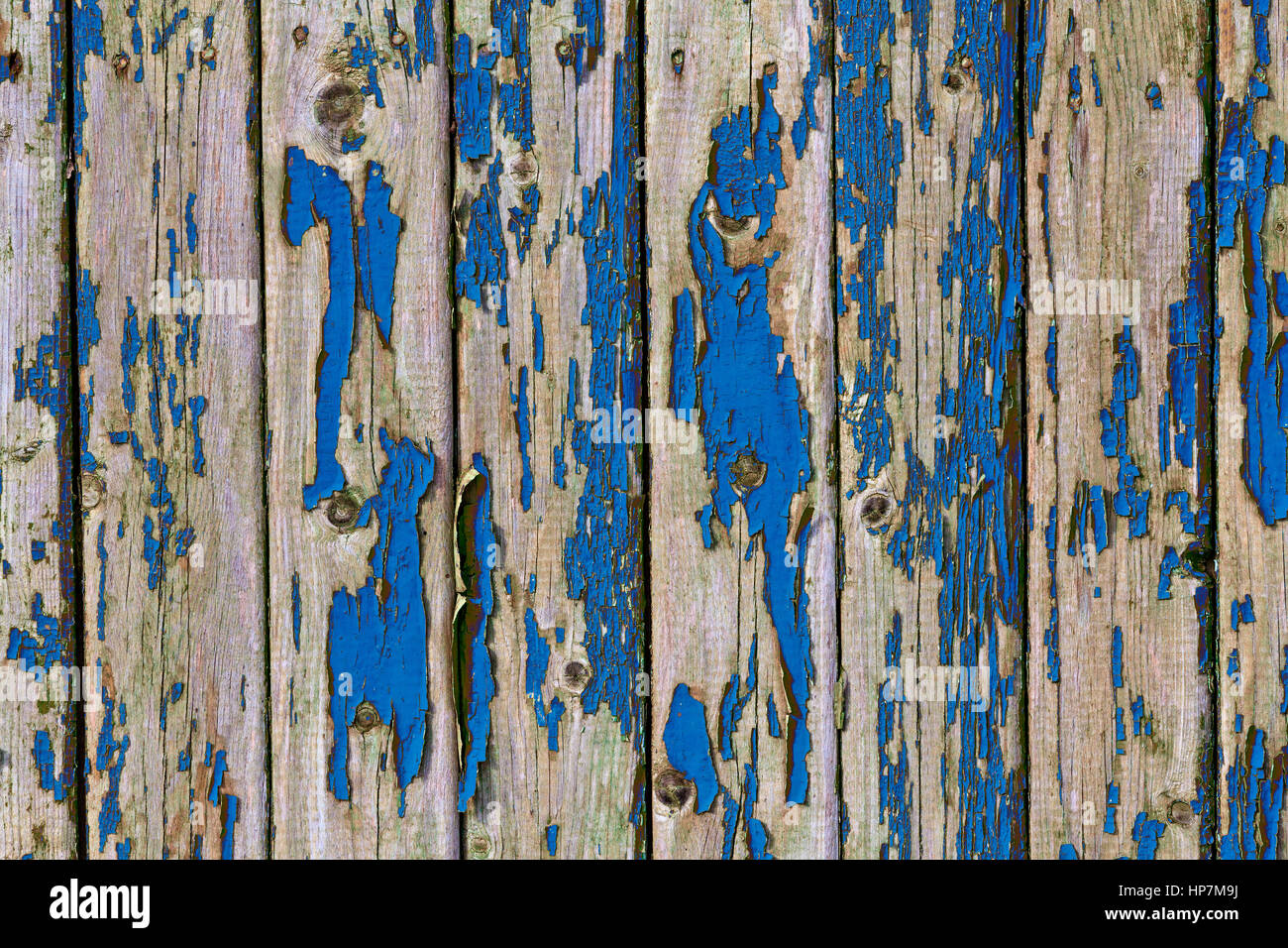 shelled fence blue color,tree, texture, fence, table, background ...