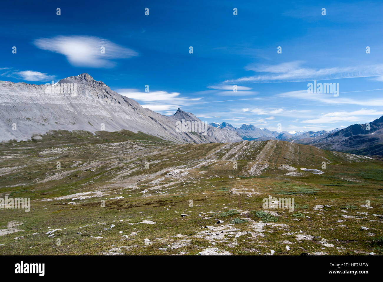 Wilcox Pass, Jasper National Park, Alberta, Canada Stock Photo - Alamy