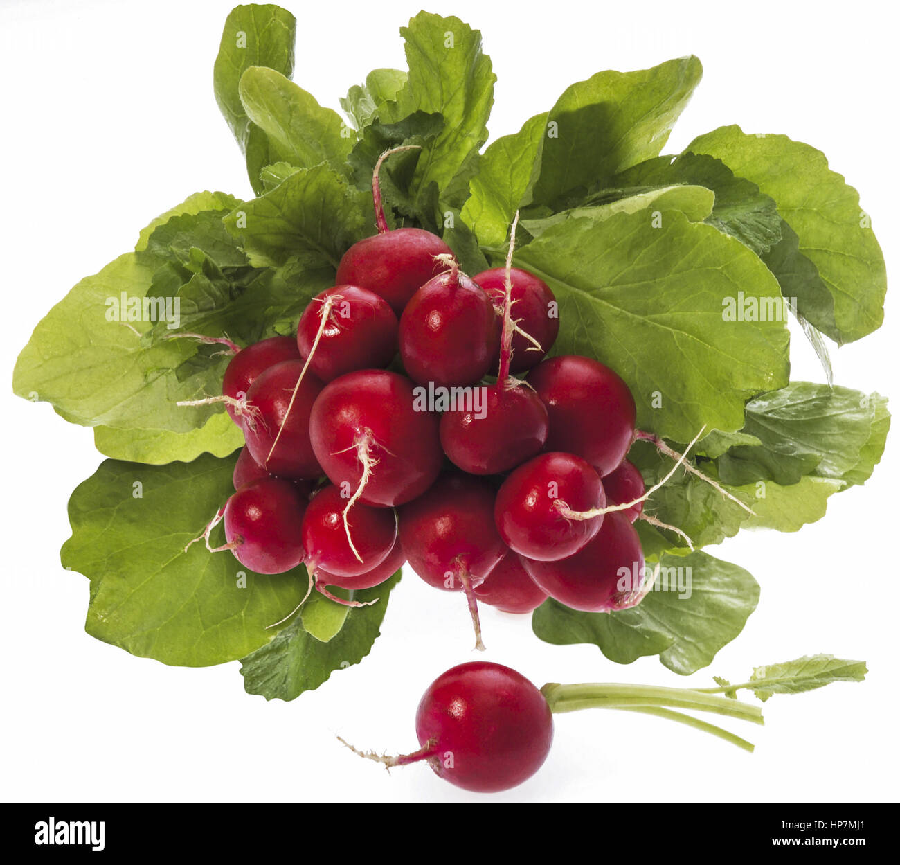 Radieschen hi-res stock photography and images - Alamy