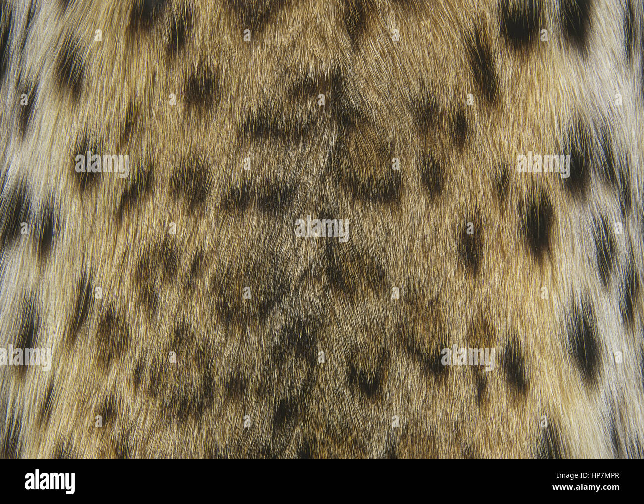 Kuenstliches Luchsfell, Detail Stock Photo - Alamy