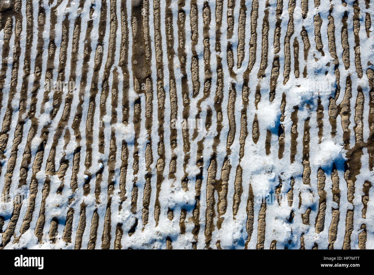 frozen sand with ice blocks. abstract texture in natural beach Stock ...