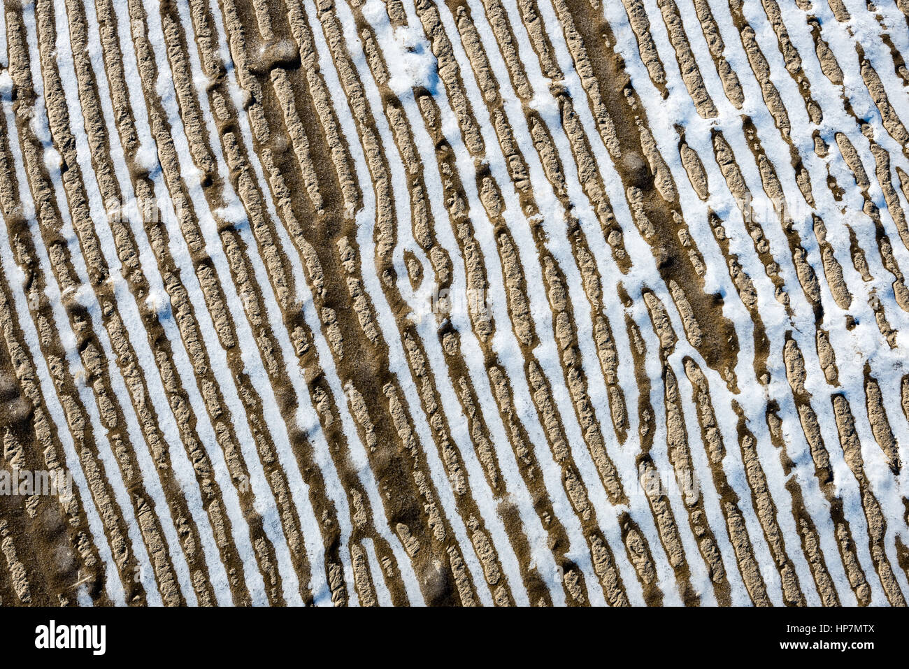 frozen sand with ice blocks. abstract texture in natural beach Stock ...