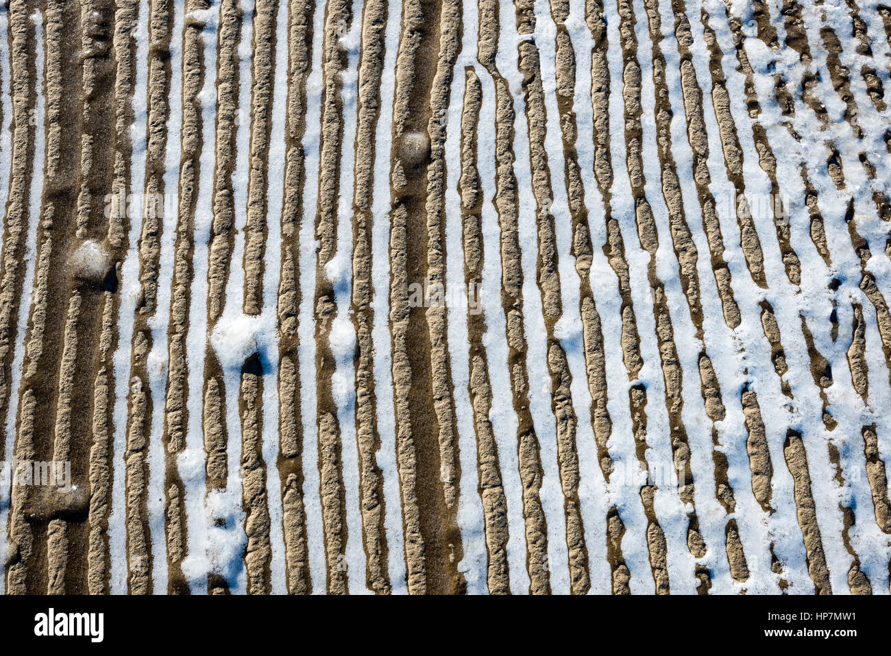 frozen sand with ice blocks. abstract texture in natural beach Stock ...