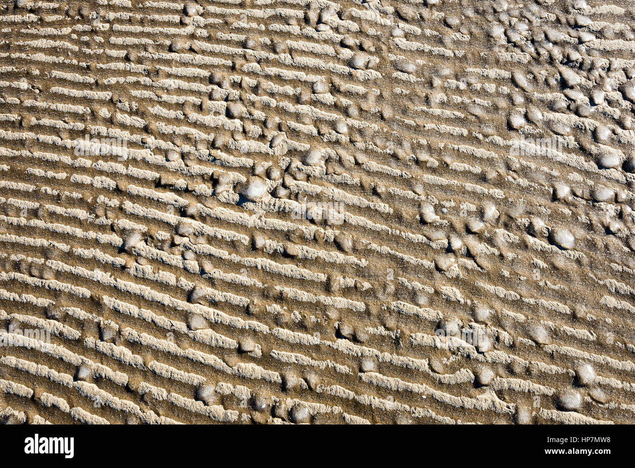 frozen sand with ice blocks. abstract texture in natural beach Stock ...