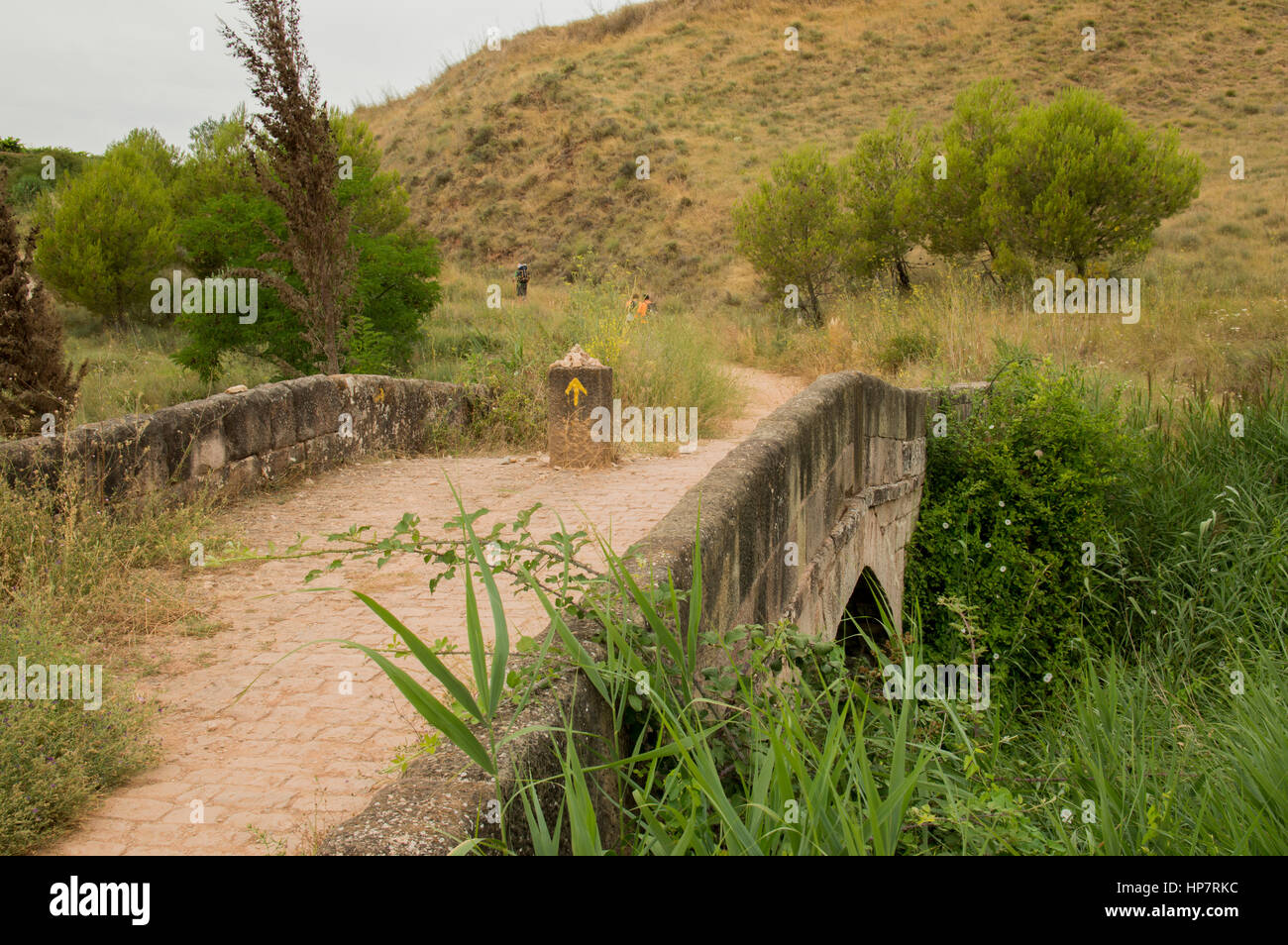 Camino de Santiago from Puente la reina to Estella Stock Photo - Alamy